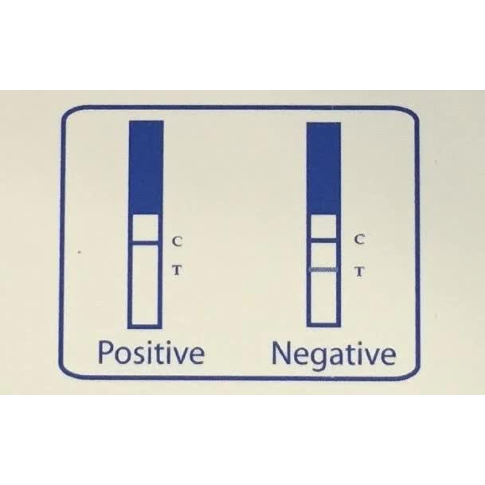 Bio Test Methamphetamine Test Strip | Birkenhead HealthPlus