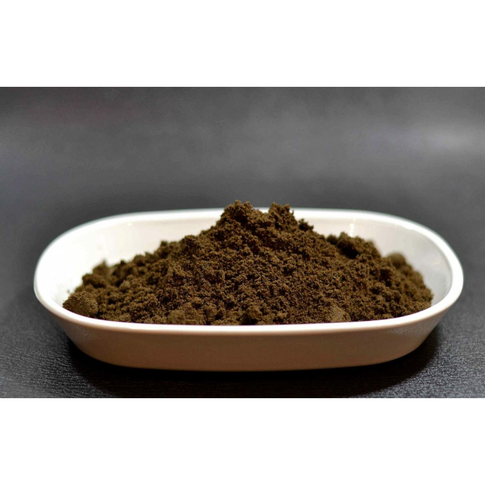 Everyday Health Black Ant Extract | Birkenhead HealthPlus